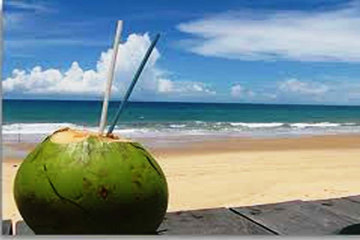 Como preparar una bebida tradicional cubana emblema del Ron cubano ...