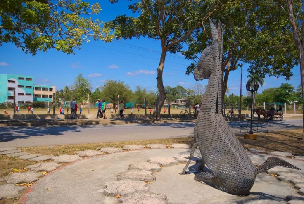 Conoce 3 burros cubanos famosos en el mundo - TodoCuba