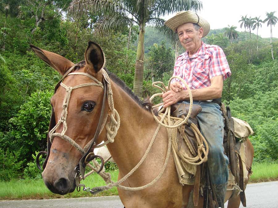 El guajiro cubano, un símbolo de la Isla desde hace más de dos siglos ...