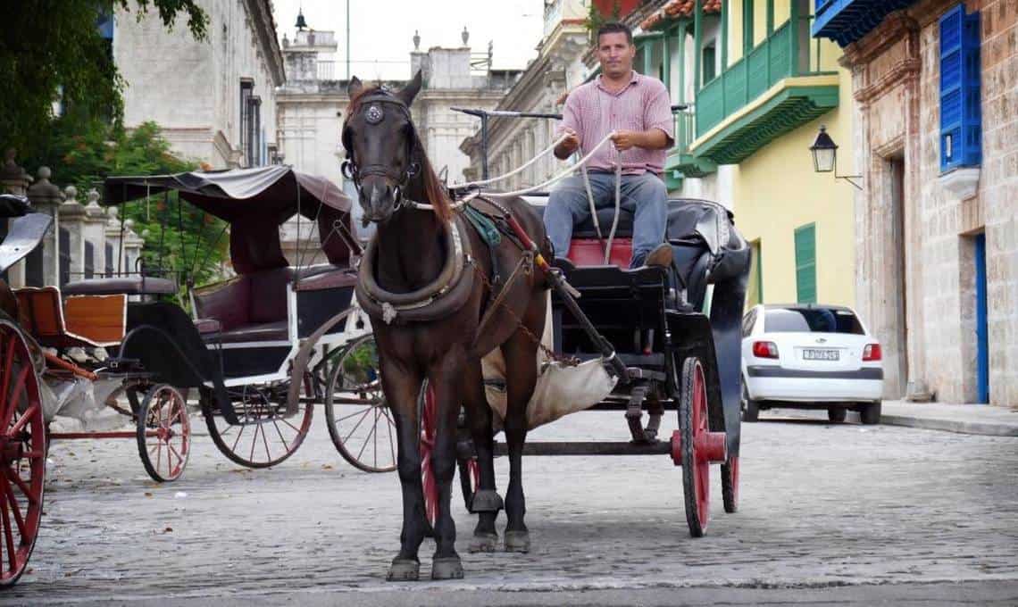 Coches y Cocheros en La Habana una tradición con siglos de historia que ...