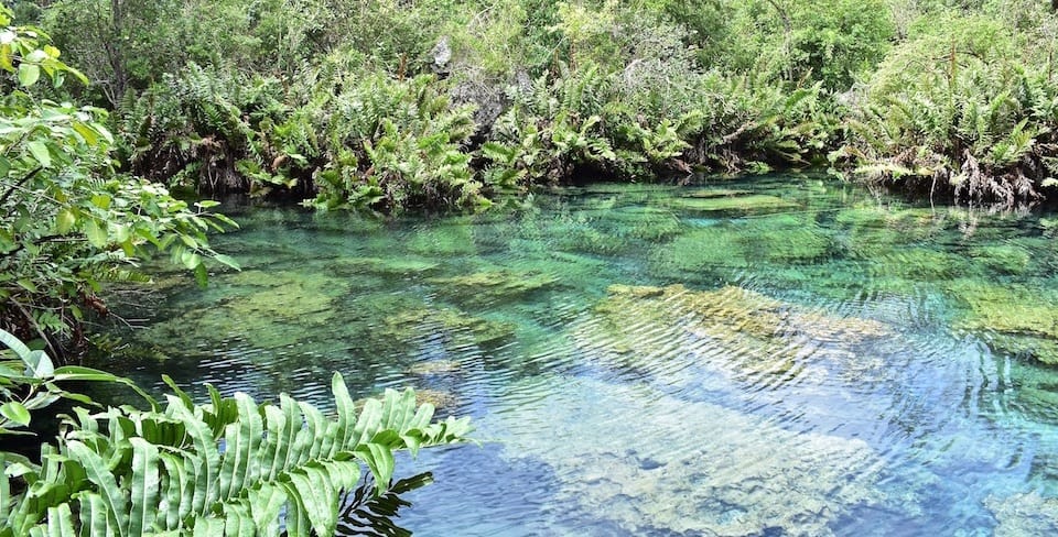 Pozo Azul, el desconocido cenote del oriente cubano - Todo Cuba